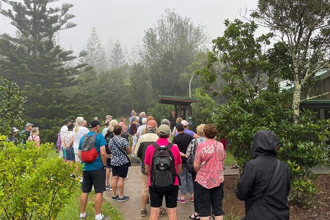 Breakfast Bushwalk & Clifftop BBQ Tour - Logistics and Practicalities