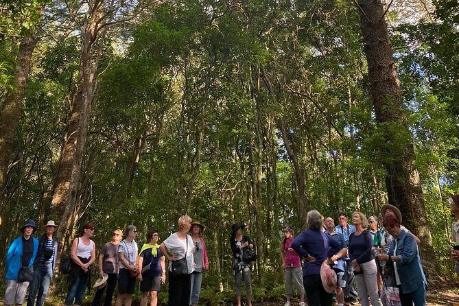 Breakfast Bushwalk & Clifftop BBQ Tour - Review Highlights: What Travelers Are Saying