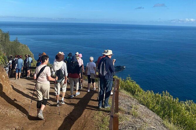 Breakfast Bushwalk & Clifftop BBQ Tour - The Sum Up