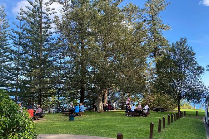 Breakfast Bushwalk & Clifftop BBQ Tour - FAQ