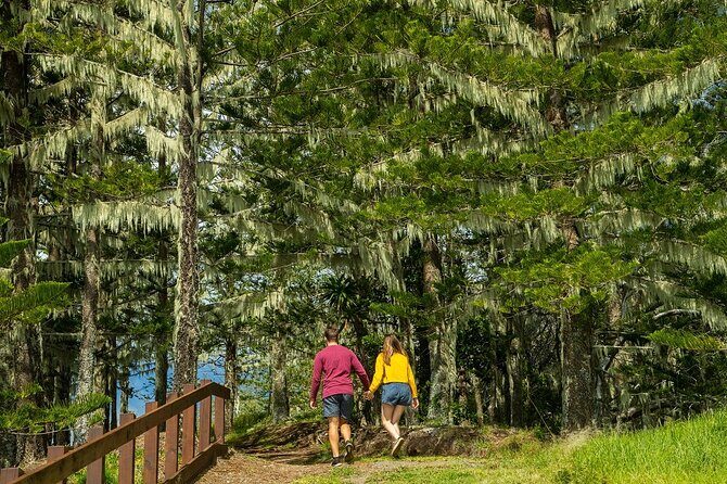 Breakfast Bushwalk in Norfolk Island - Authenticity and Atmosphere