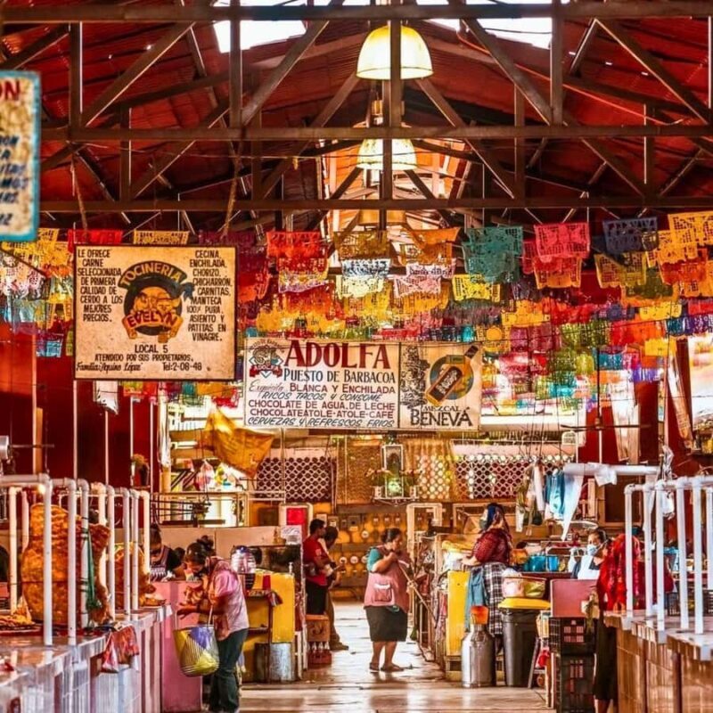 Breakfast in Tlacolula; Ancestral and industrial mezcal distillery - Key Points