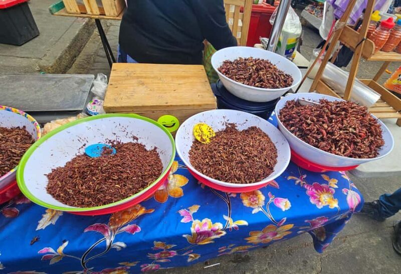 Breakfast in Tlacolula; Ancestral and industrial mezcal distillery - The Journey Through Oaxaca’s Spirit