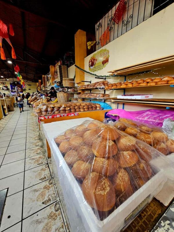 Breakfast in Tlacolula; Ancestral and industrial mezcal distillery - Practical Details and Value