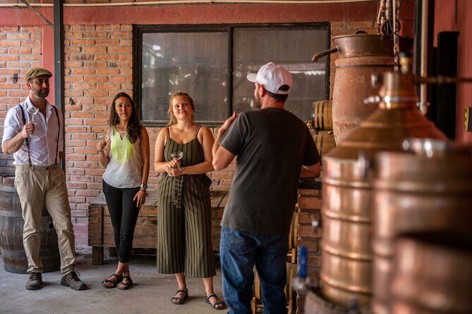 Breakfast & Market Tour in San Luis Potosí with English Guide - An Honest Look at the Itinerary: What to Expect