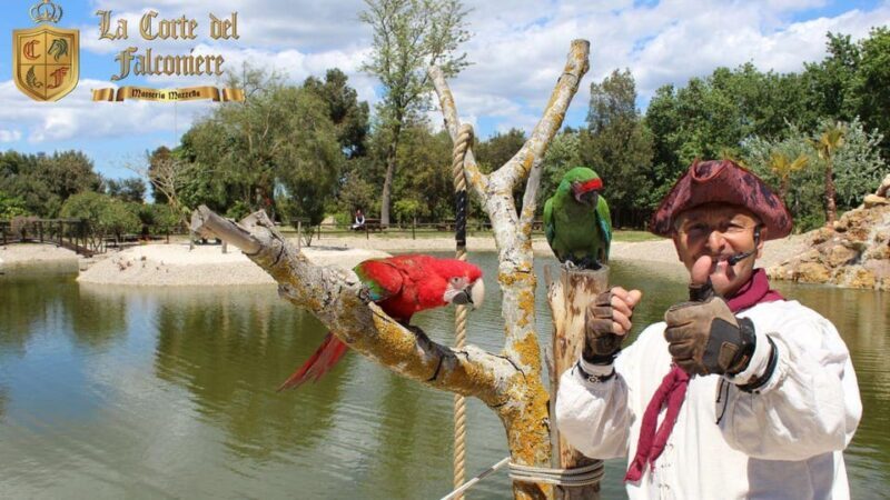 Breakfast with Parrots at Masseria mazzetta with wildlife park - Key Points
