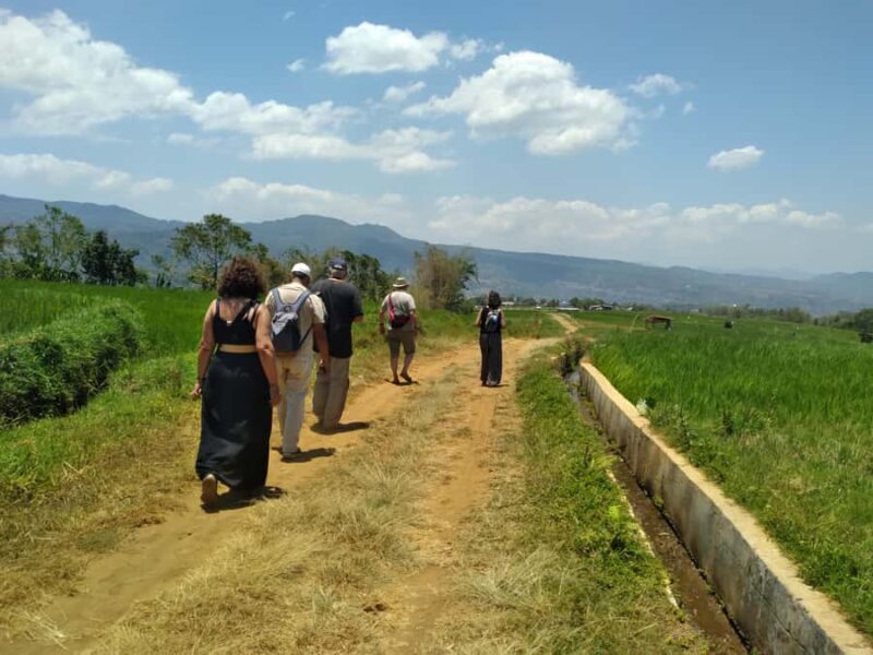 Breathe in Malinos Fresh Air & Explore the Flower City - Final Thoughts: Who Should Consider This Tour?