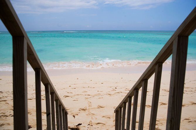 Breathless Punta Cana Resort & Spa - Round Trip Shuttle - Punta Cana Airport - What to Expect from Your Punta Cana Airport Transfer