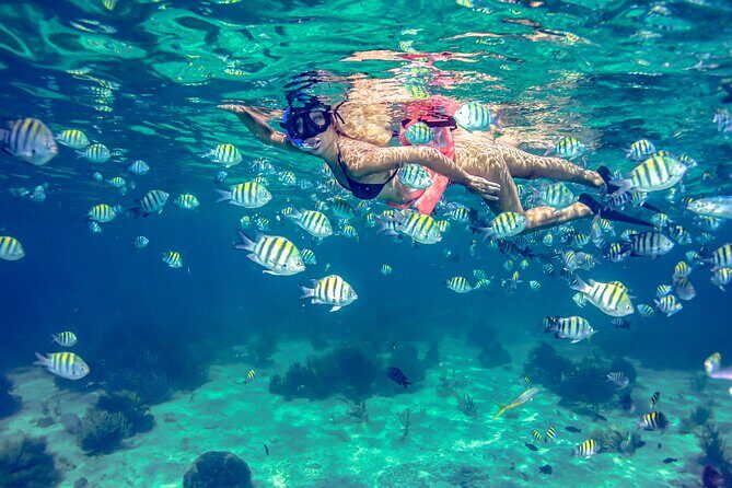 Breathtaking experience driving a speedboat in Cancun with Snorkeling included - A Complete Breakdown of the Speedboat & Snorkel Experience in Cancun