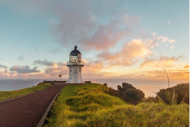 Breathtaking Six Day Northland Tour Offered in English & German - Key Points