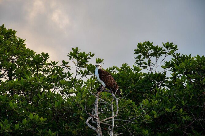 Breathtaking Sunset at Sian Ka'an - How This Tour Compares in Value