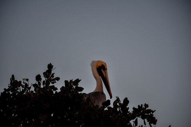 Breathtaking Sunset at Sian Ka'an - Final Thoughts