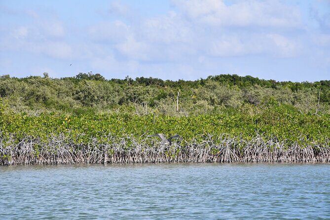 Breathtaking Sunset at Sian Ka'an - FAQs