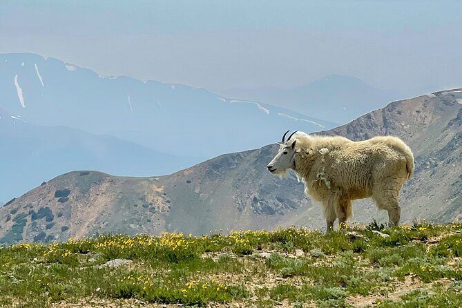 Breckenridge via Hoosier Pass Private Colorado Adventure Tour - What to Expect from the Experience