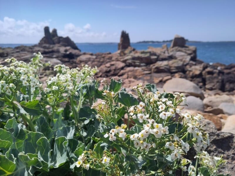 Bréhat: a guided tour of its superb landscapes - Final Thought