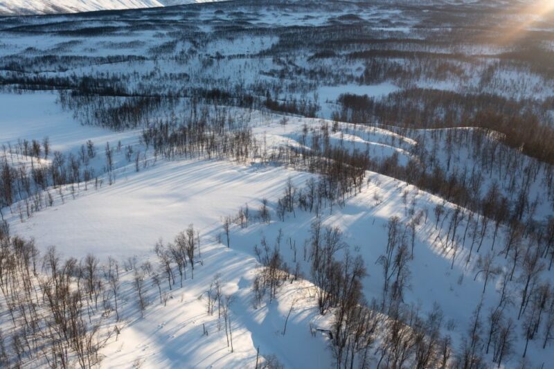 Breivikeidet: Cross-Country Skiing & Husky Visit - Who Will Love This Experience?
