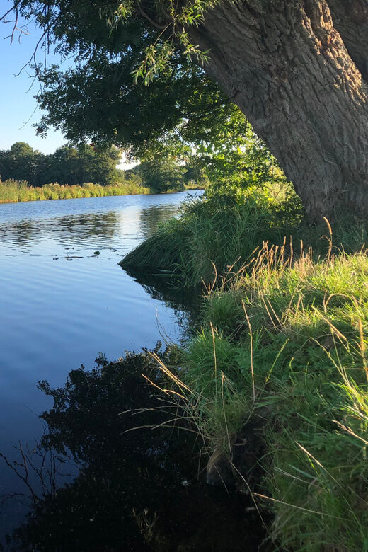 Bremen: Full-Day SUP Rental on the Wümme River - Practical Tips for Your SUP Adventure in Bremen