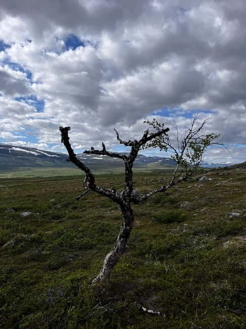 BRENNFJELL: Brennfjellet Hiking Adventure - FAQ Section