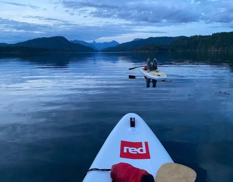 Brentwood Bay: Bioluminescence & Sunset Paddleboard Tour - An Enthralling Nighttime Paddle in Brentwood Bay