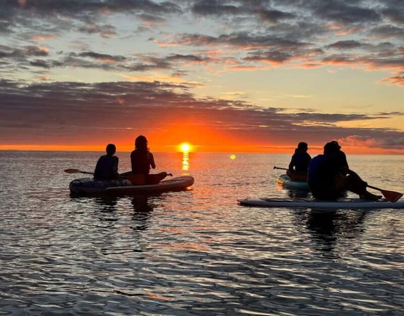Brentwood Bay: Bioluminescence & Sunset Paddleboard Tour - Final Thoughts