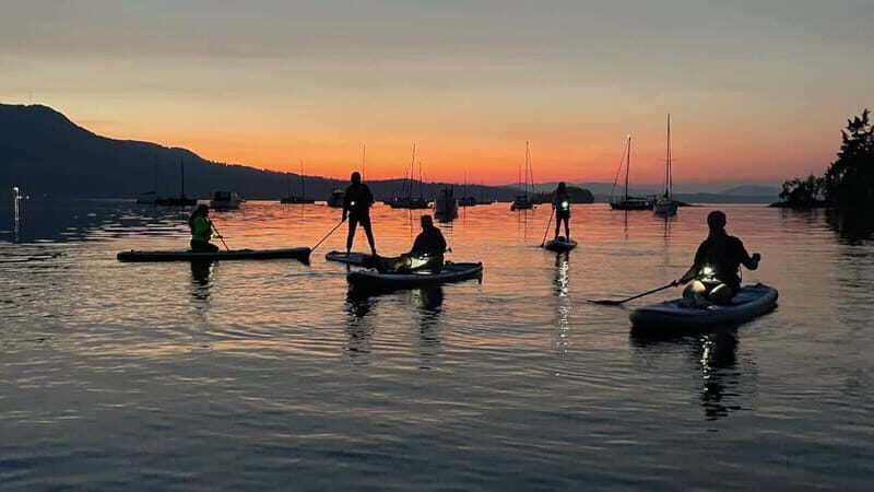 Brentwood Bay: Bioluminescence Tour - Key Points