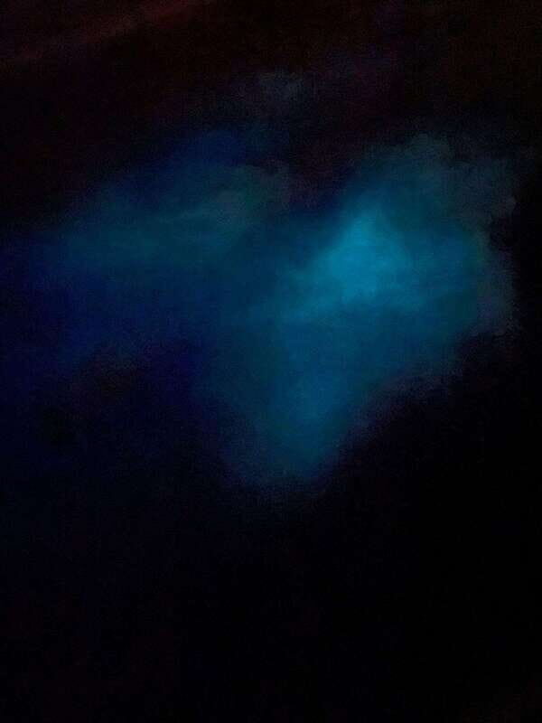 Brentwood Bay: Bioluminescence Tour - A Deep Dive into What the Tour Offers