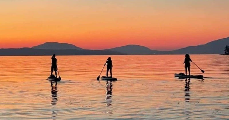 Brentwood Bay: Bioluminescence Tour - Authentic and Instructive
