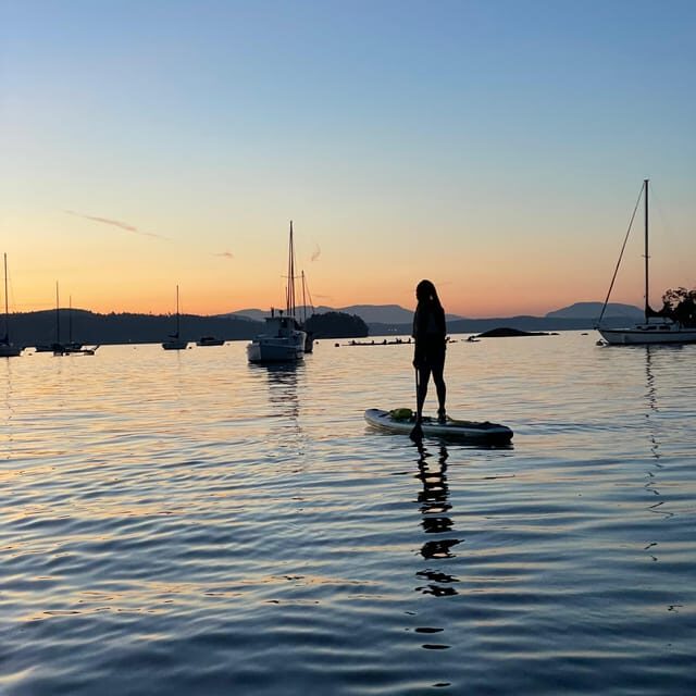 Brentwood Bay: Bioluminescence Tour - Who Should Consider This Tour?