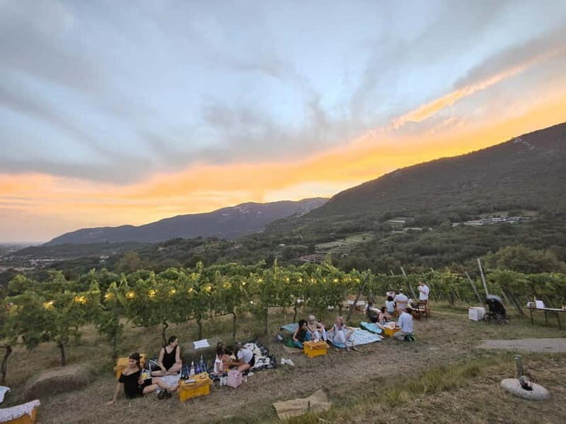 Brescia: Day trip to Botticino, new historical winetasting - Practical tips