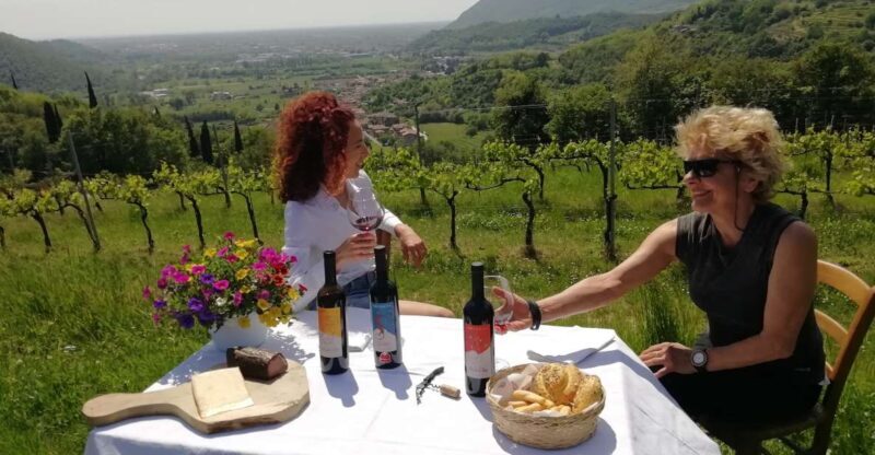 Brescia: day trip to Botticino with wine tasting at Noventa - A Genuine Taste of Botticino: An Honest Look at the Wine Tasting Tour