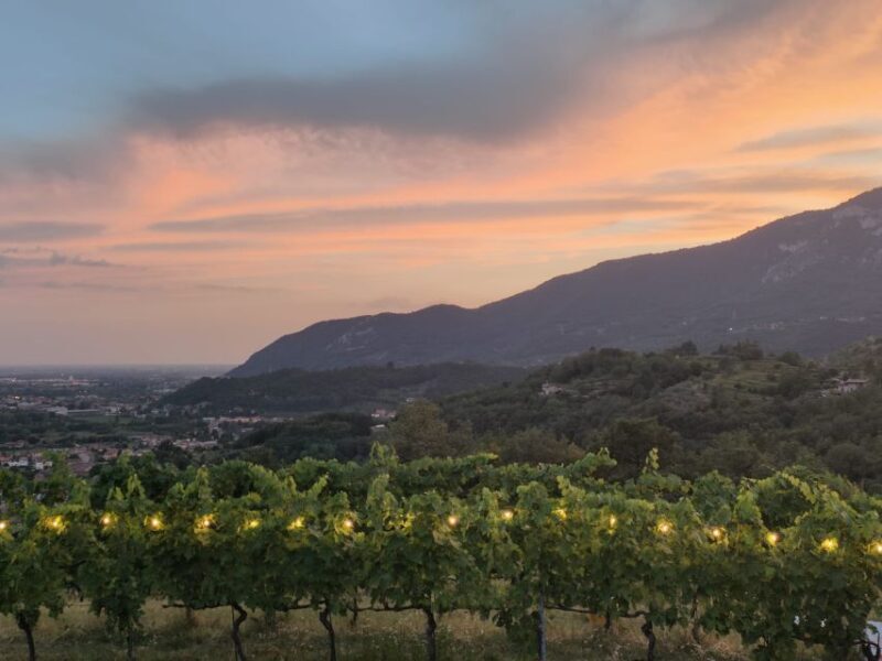 Brescia: day trip to Botticino with wine tasting at Noventa - Practical Details and Value