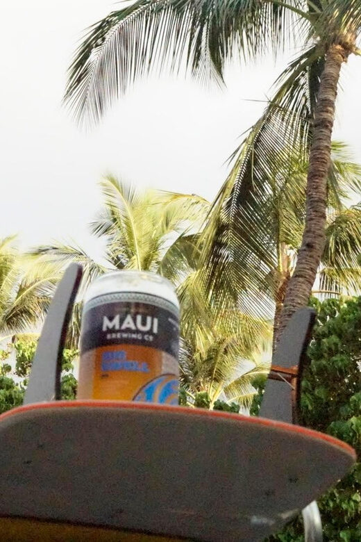 Brewery and Beach cruise in a Vintage VW Bus - An In-Depth Look at the Tour Experience