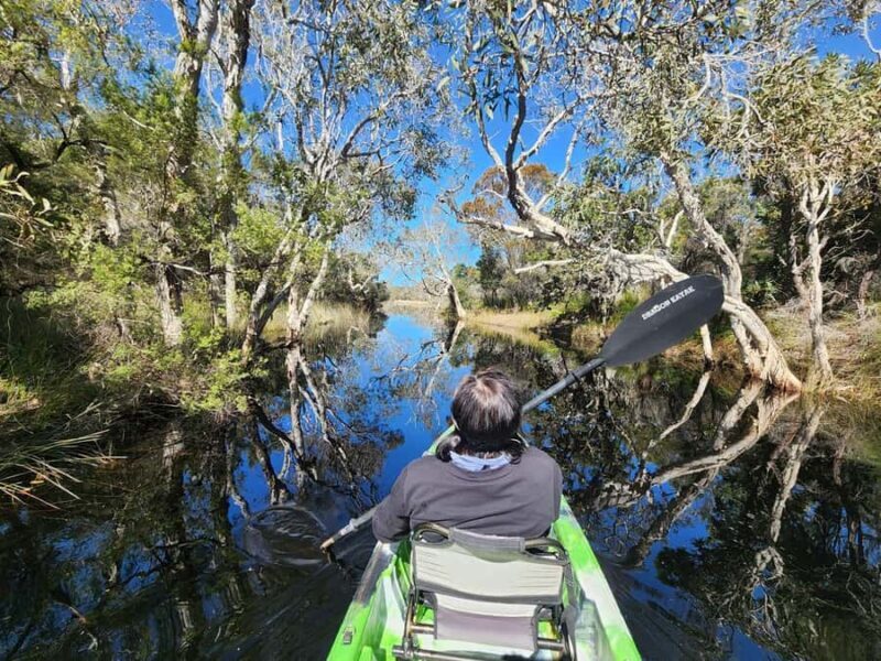 Bribie Island: 4WD, Kayak, and WWII Bunker Tour - The Experience in Practice