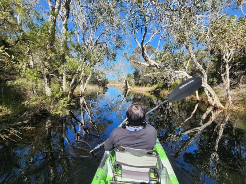 Bribie Island: Sea to Table 4WD, Kayak, & Seafood Lunch Tour - Who Would Love This Tour?