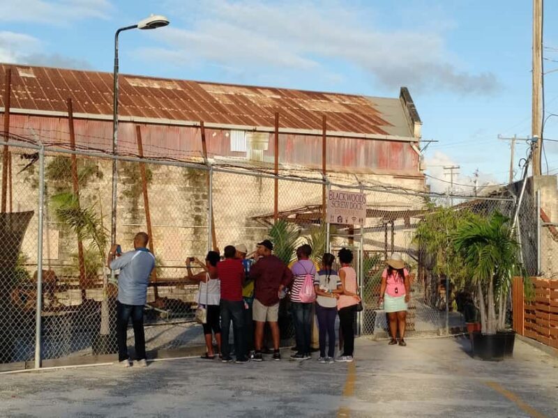 Bridgetown: A Guided Walking Tour of The History of a City - Key Points