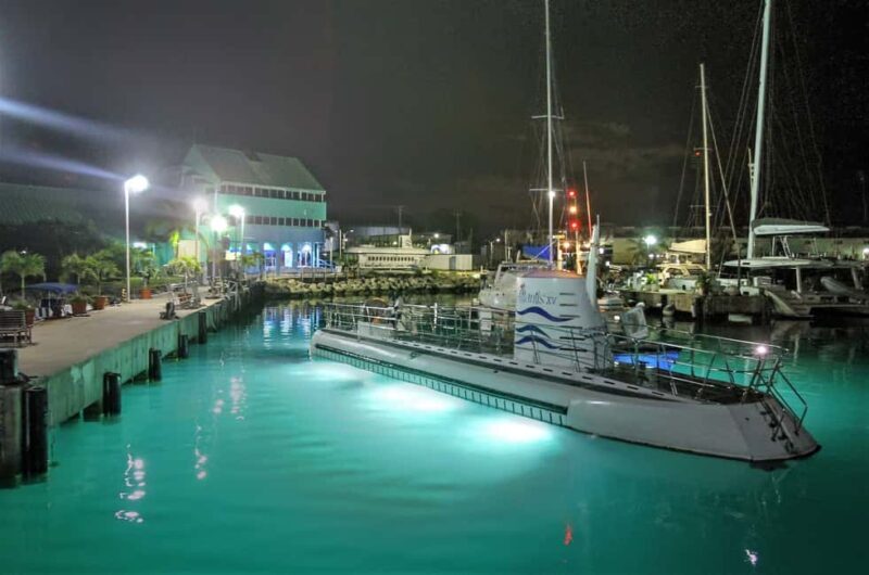 Bridgetown: Submarine Guided Night Tour - What To Expect During Your Night Underwater Adventure