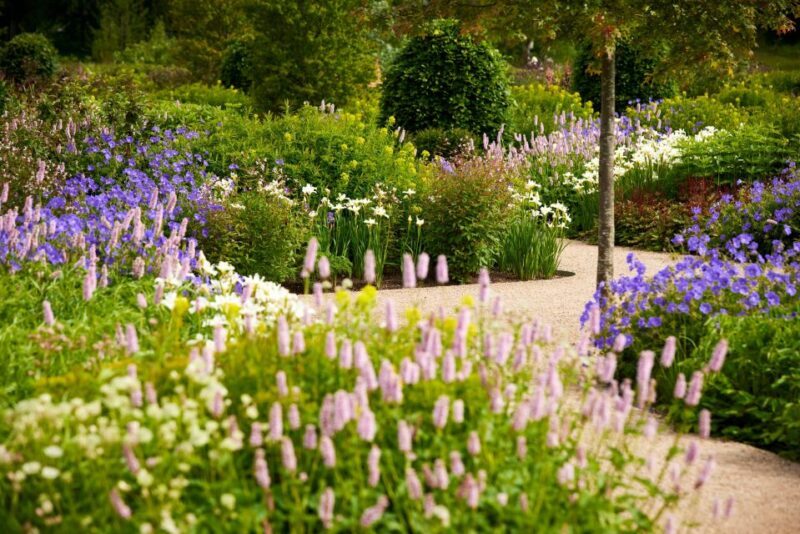 Bridgewater: Royal Horticultural Society Garden Ticket - Authentic Experiences and Visitor Impressions