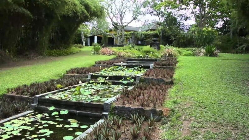 Brief Garden: The Artistic Legacy of Bevis Bawa - Key Points