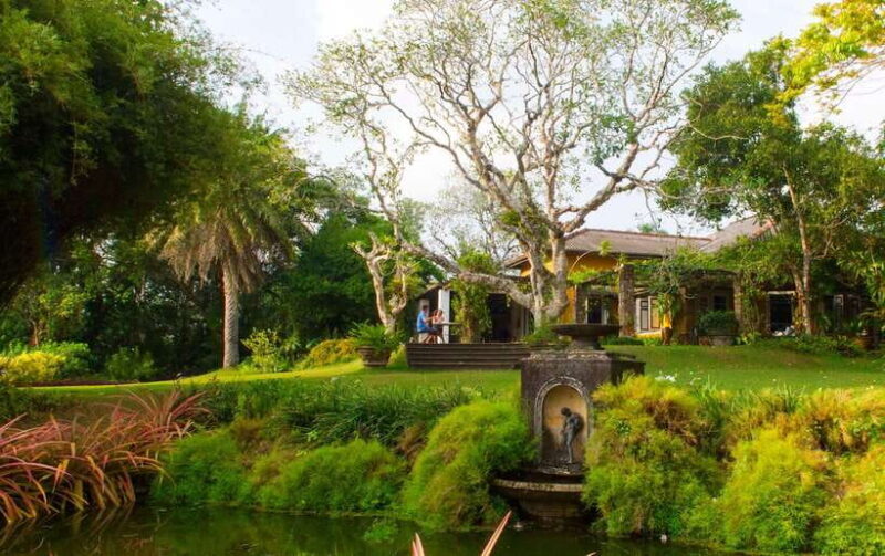 Brief Garden: The Artistic Legacy of Bevis Bawa - Analyzing the Value