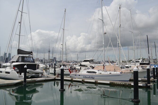 Bright Mornings in Auckland - What to Expect from Your Auckland Adventure