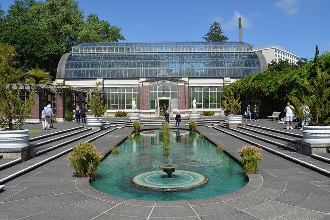 Bright Mornings in Auckland - The Sum Up: Who Will Love This Tour?
