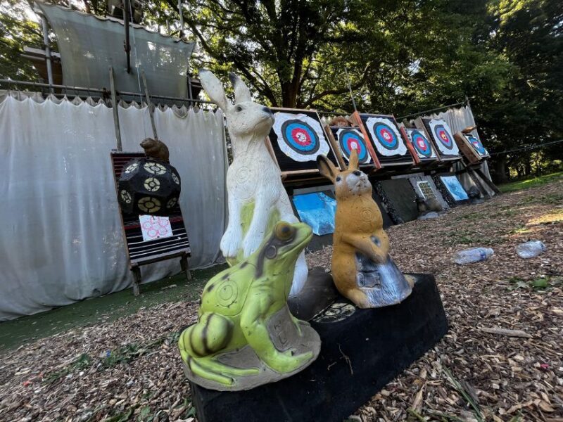 Brighton: Archery Experience - An In-Depth Look at the Brighton Archery Experience