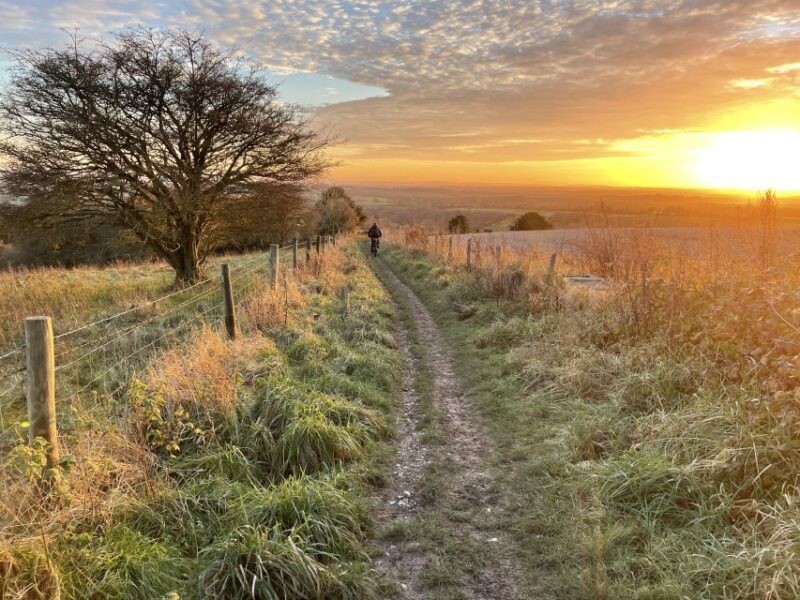 Brighton: Electric Mountain Bike Rental - Who Should Consider This Experience?