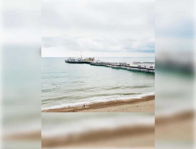 Brighton: Zip Wire Experience Ticket and Transfer - What to Expect from Brighton’s Zip Wire Experience