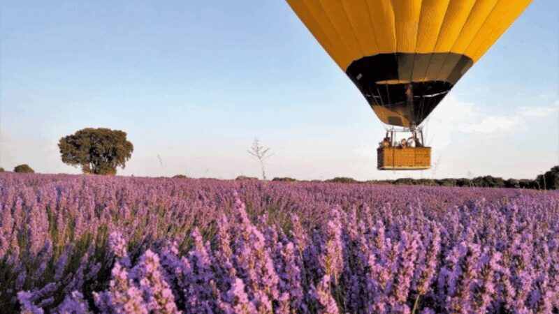 Brihuega: Balloon Flight Above Lavender Fields - The Experience: A Detailed Look