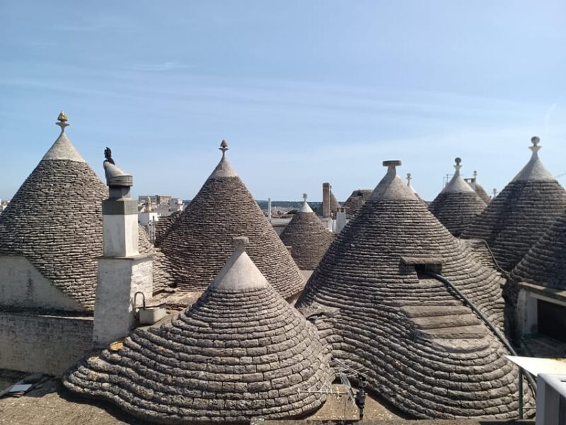 Brindisi: Alberobello, Ostuni Tour for Cruise ship - Key Points