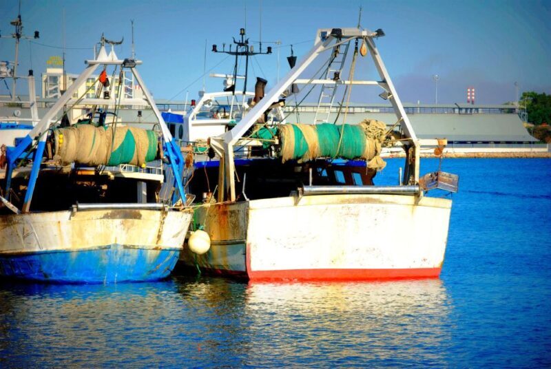 Brindisi: Guided Tour to the Roman Port - Authenticity and Value