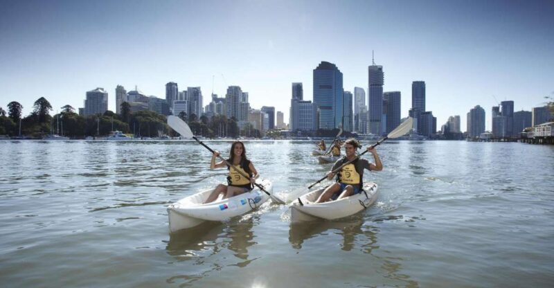 Brisbane: 2-Hour Kayak Hire on Brisbane River - Final Thoughts