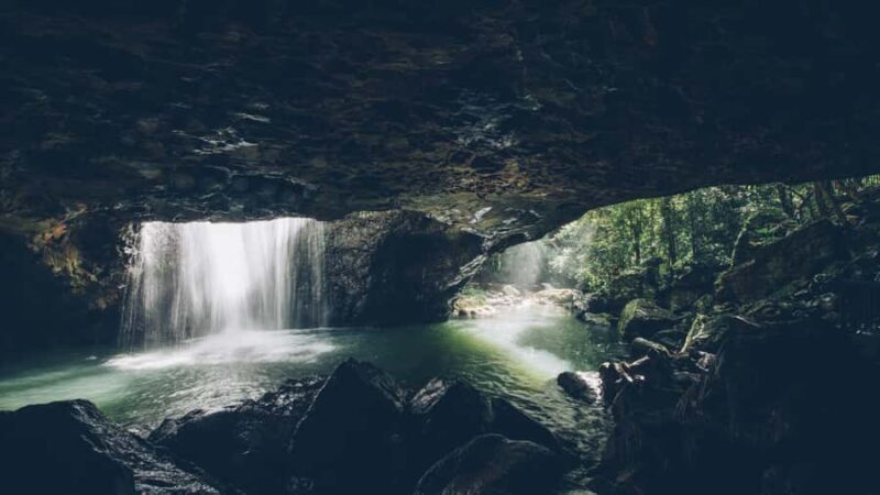 Brisbane: 6 Waterfalls, Koalas & Natural Bridge Day Tour - An Authentic Dive Into Queensland’s Natural Beauty