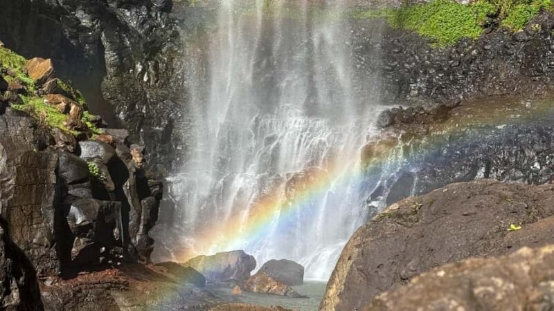 Brisbane: 6 Waterfalls, Koalas & Natural Bridge Day Tour - FAQ